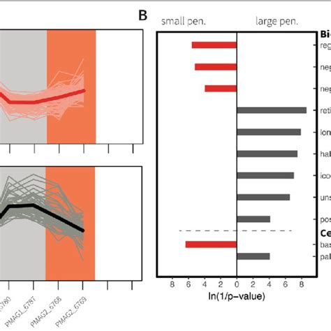 Set C For Waveform Polarity A Expression Patterns Of Set C Genes For