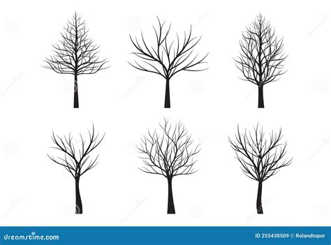 Set Black Trees Vector Illustration Stock Vector Illustration Of Forest Nature 255438509
