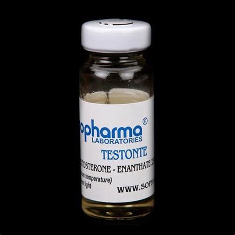 Buy Testosterone Enanthate 250mg Steroid Club