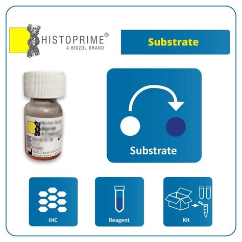 Dab Hrp Substrate Kit Result Brown Colour 3 3 Diaminobenzidine Histoprime