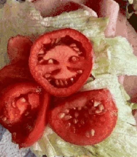 Aphex Twin El Tomaphex Twin  Aphex Twin El Tomaphex Twin Tomato Find Og Del Fer