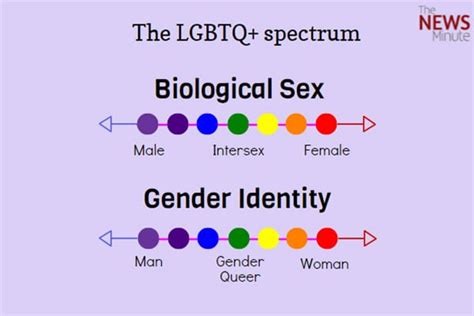 Gender Identity Spectrum