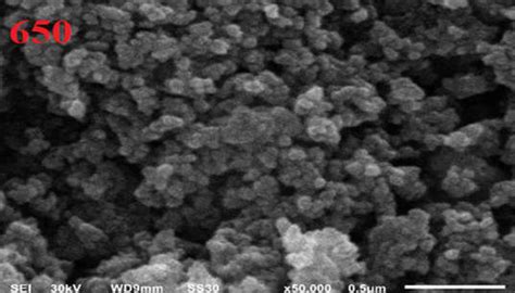 Sem Image Of Zno At The Calcination Temperature Of 450 550 And 650 O C Download Scientific