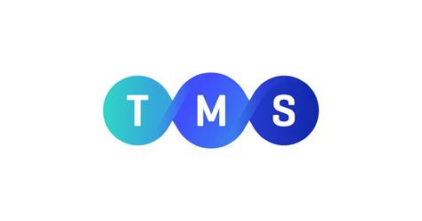 Tms Consulting Sap Gold Partner For Digital Transformation
