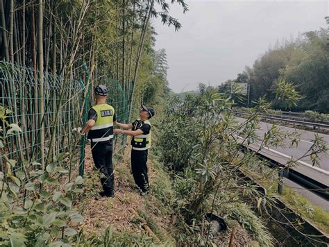 川东公司开展“一路三方”安全隐患回头看 四川川东高速公路有限责任公司