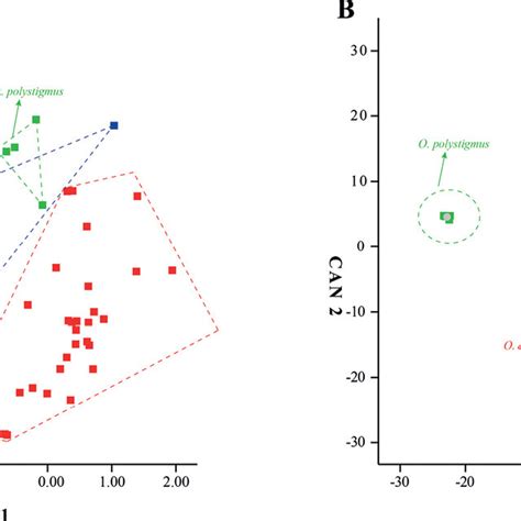 Plots From The Principal Component Analysis And Canonical Discriminant Download Scientific