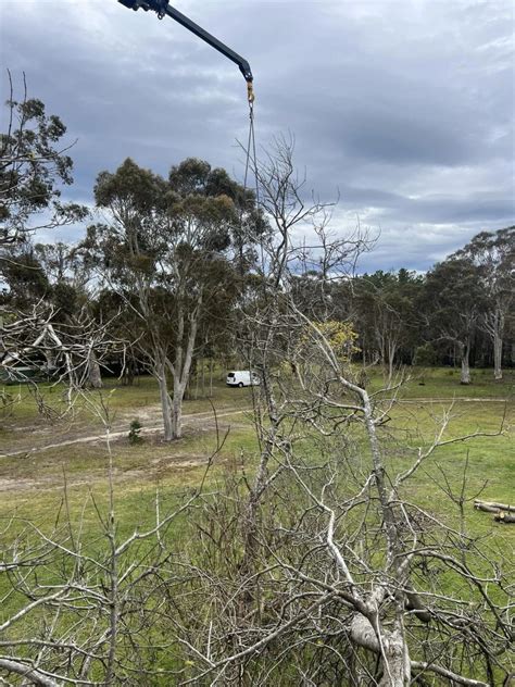 Day Of Jobs With Crane Spider