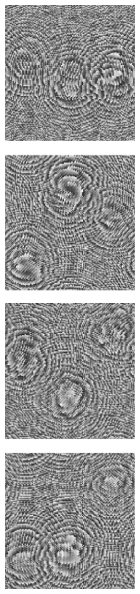 Test Result By The Gan Holo A Target Intensity Patterns B Download Scientific Diagram