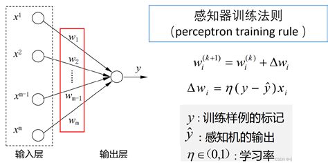人工神经网络之感知机架构、算法及python编程实现感知机算法代码 Csdn博客