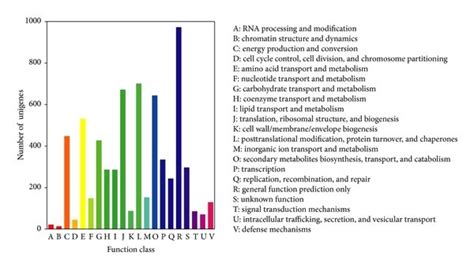 Cog Function Classification Of The G Sinensis Transcriptome A Total