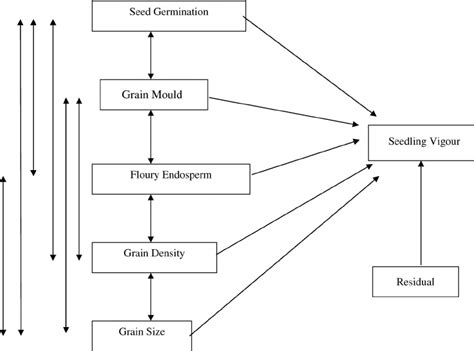 Path Diagram Showing Causal Relationship Between Seed Traits Grain Download Scientific Diagram
