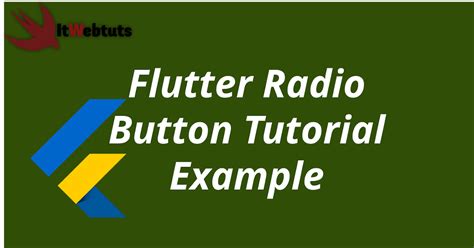 Flutter Radio Button Tutorial Example