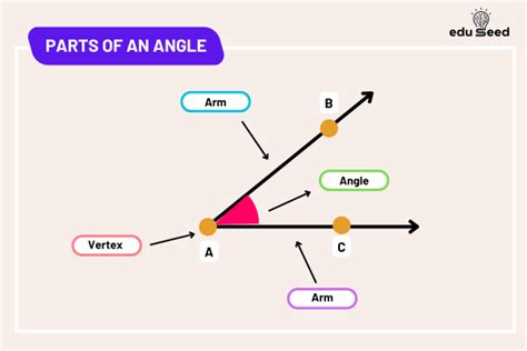 Vertex Angle In Real Life Triangle