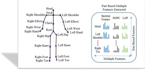 Human Action Recognition Via Skeletal And Depth Based Feature Fusion Prof Hubert Shums