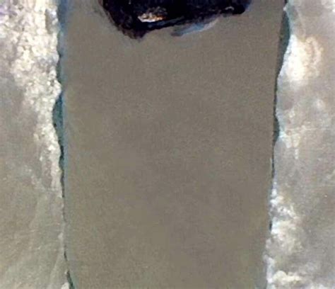 Photomicrograph Of A Histological Section Corresponding To Group V Download Scientific Diagram