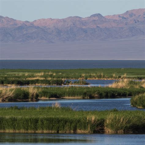 ХАНЖОУ 2022 У Сүрэнжав мөнгөн медаль хүртлээ Isee Mn