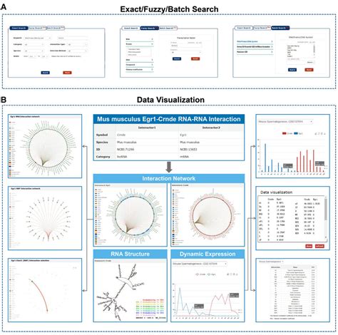 New Search Function And Data Visualization Of The Rna Interactome A Download Scientific