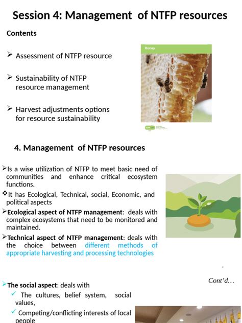 Managing Ntfp Resources In Ethiopia Pdf Ecology Forests