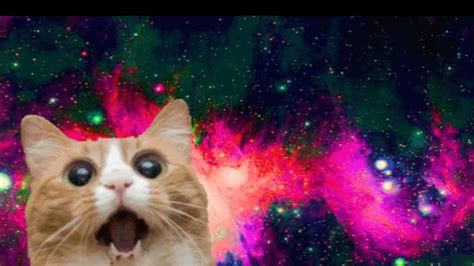 뭔가 잘못된 영상 Youtube