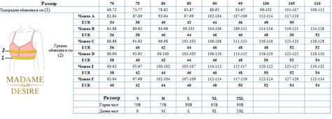 Таблица с размери бански сутиени мъжко и дамско бельо
