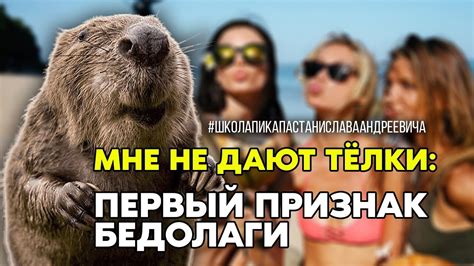 ВСЕМ ТЕЛКАМ НУЖНЫ ТОЛЬКО БАБКИ БЕЗ ДЕНЕГ МНЕ НЕ ДАЮТ ШКОЛА ПИКАПА Youtube