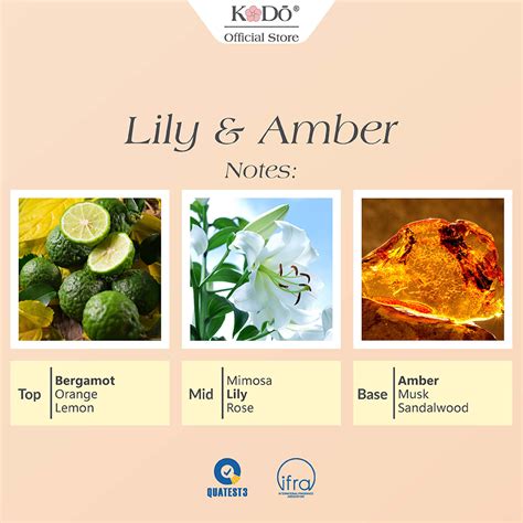Bộ Que Khuếch Tán Tinh Dầu Nước Hoa Lily And Amber 150ml Kodo
