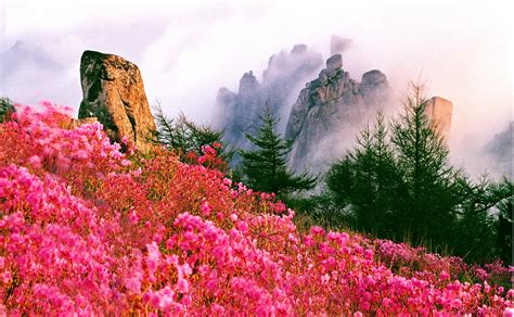 四季崂山 青岛崂山风景区