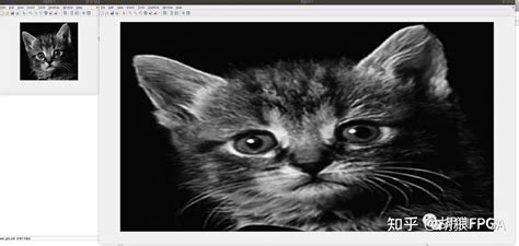 Fpga图像算法 无极缩放 知乎