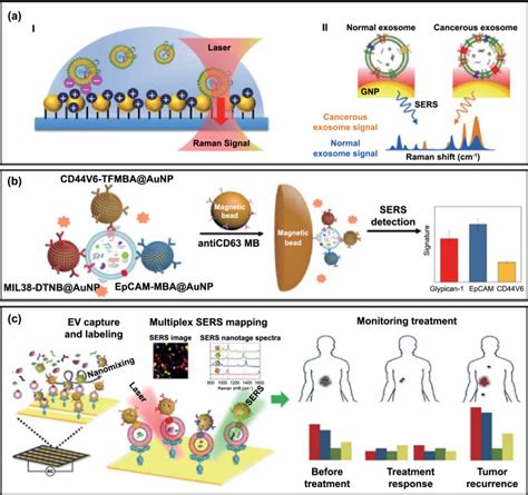 Multiplexed Profiling Of Extracellular Vesicles For Biomarker