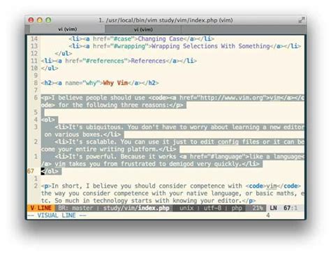 A Vim Tutorial And Primer That Takes You From Competent To Masterful In A Way That Cannot Be