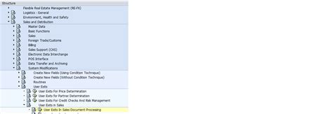 How To Update Sales Order Custom Fields From Addit Sap Community