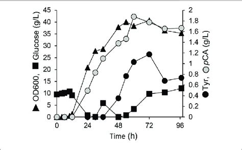 Production Of P Coumaric Acid By E Coli Fed Batch Cultures Of At2 Download Scientific