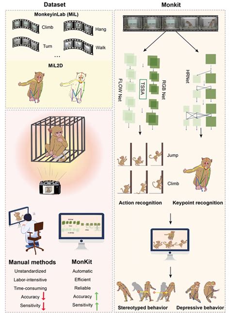 GitHub BCNC Fudan MonKit