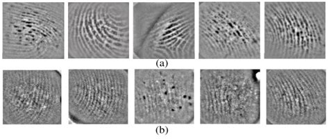 Fingerprint Systems Sensors Image Acquisition Interoperability And