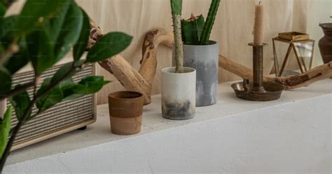 커튼이 달린 창문과 그 위에 식물 몇 그루 사진 Unsplash의 나물 이미지