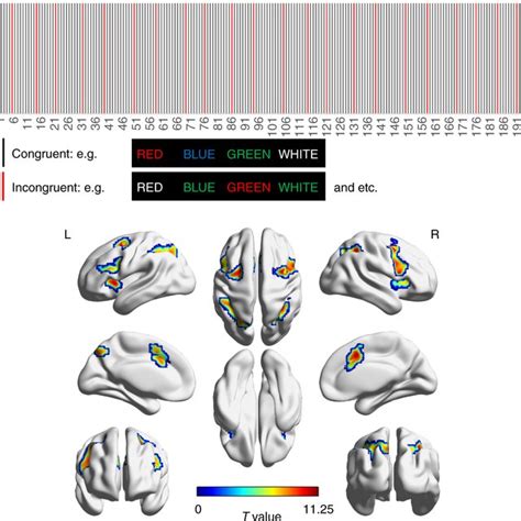 Experimental Paradigms Of The Stroop Word Color Task And The Group Download Scientific Diagram