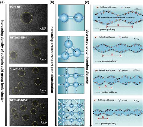 Nanophysical Geometry And Distribution Of Sulfonic Acid Ionic Clusters