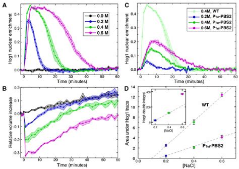 Hog1 Nuclear Enrichment Exhibits Robust Perfect Adaptation Download Scientific Diagram