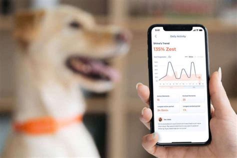 How To Use Arduino Uno To Build An Automatic Plant Watering System Iot Hobbyist