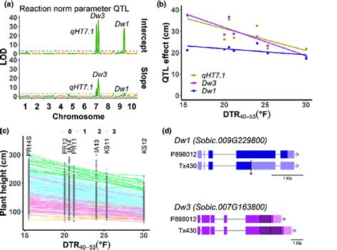 Identifying Genetic Loci Underlying Phenotypic Plasticity In Sorghum Download Scientific