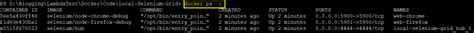 How To Run Selenium Tests In Docker