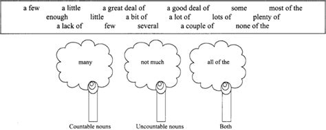 Determiners Exercises For Class 9 Cbse With Answers Learn Cram