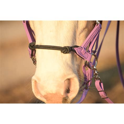 Beta Biothane Sidepull Bitless Bridle With Rope Noseband Two Horse Tack