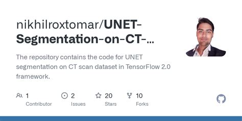 Labels Nikhilroxtomar UNET Segmentation On CT Scan Images In