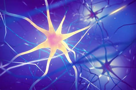 Living Electrodes For Linking Brains To Computers Tested In Rats New Scientist