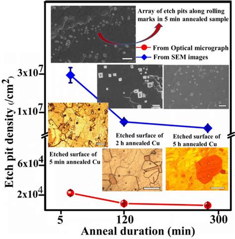 Statistical Analysis Of Etch Pit Density For Three Cu Samples Annealed
