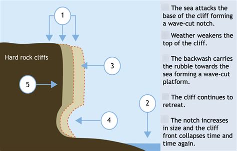 Wave Cut Platforms Explained Diagram Quizlet