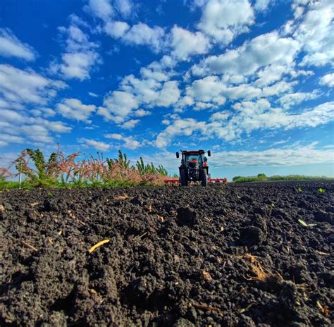 Optimizing Weed Control In Sustainable Organic Farming