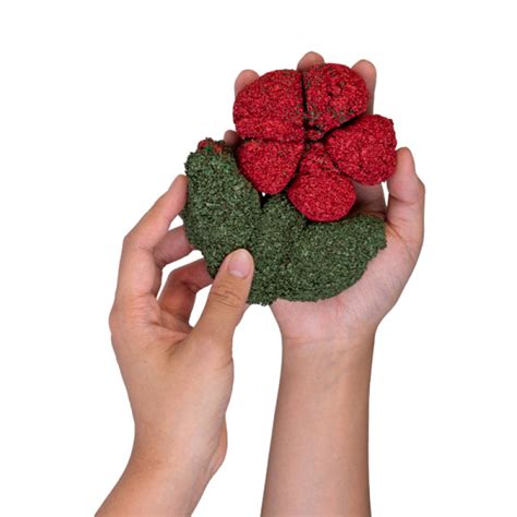 Eco Squishy Foam Blueberry Express