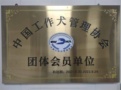 关于我们 抚慰犬官网